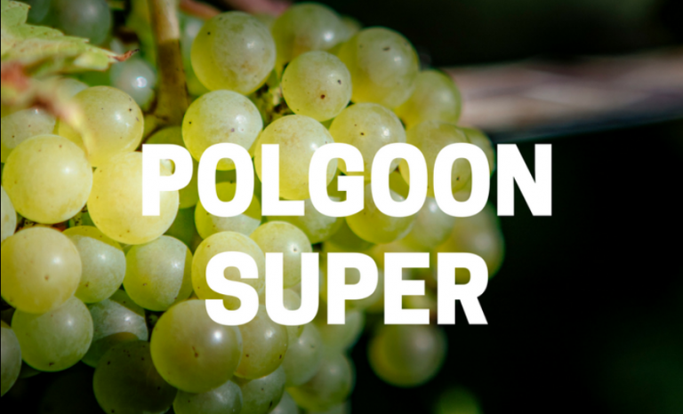 Untitled | Polgoon Vineyard & Orchard