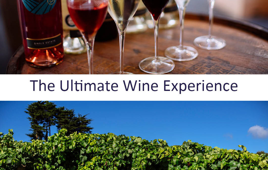 The Ultimate Wine Experience | Polgoon Vineyard & Orchard