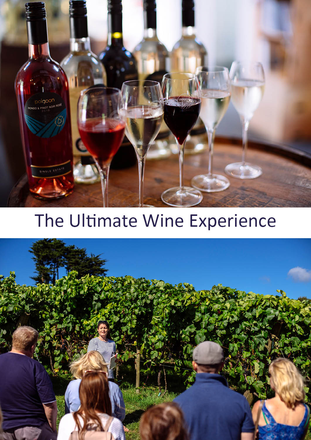 The Ultimate Wine Experience | Polgoon Vineyard & Orchard