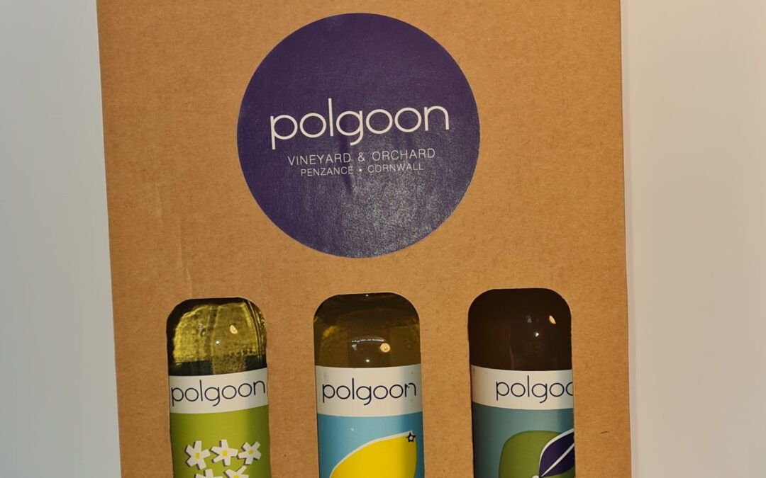 Soft Drinks Bundle | Polgoon Vineyard & Orchard